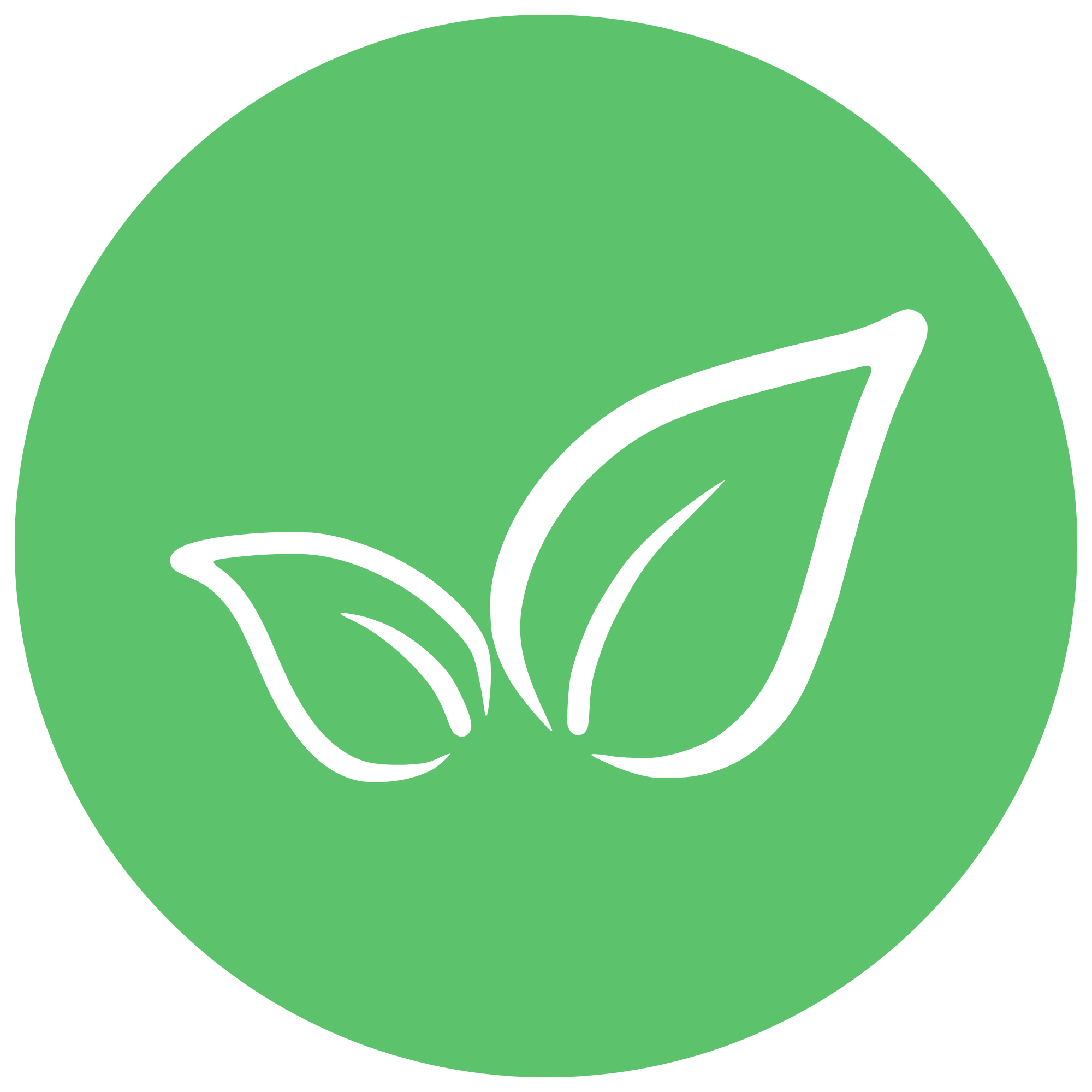 La boisson saine & gourmande de tous les matcha lovers ! – MATCHY MATCHA